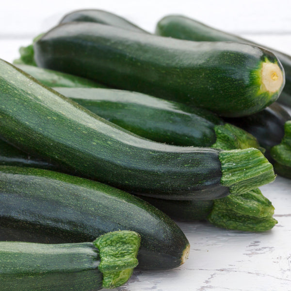 Courgette 'Black Beauty' Seeds – Stocks & Green