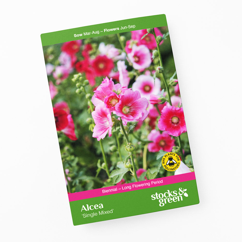 Alcea 'Single Mixed' - Hollyhock Seeds – Stocks & Green