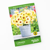 Calendula 'Snow Princess' - Marigold Seeds – Stocks & Green