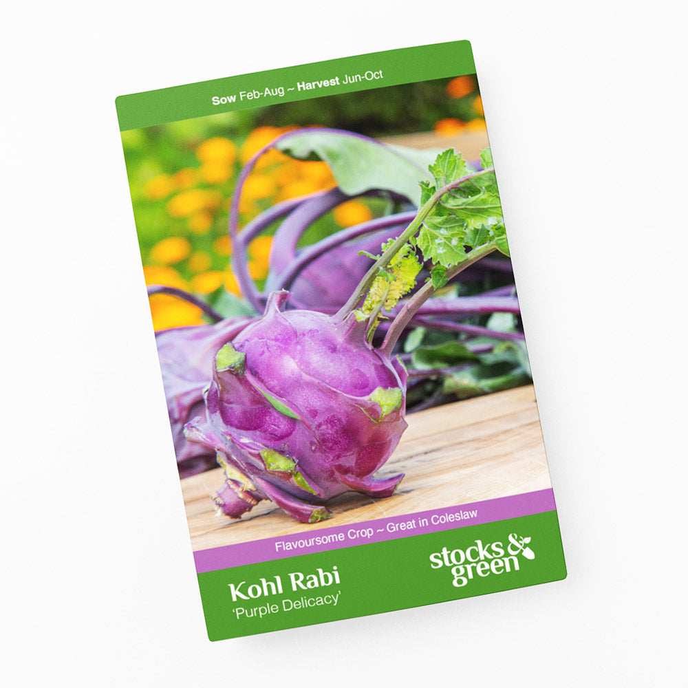 Kohl Rabi 'Purple Delicacy' Seeds – Stocks & Green