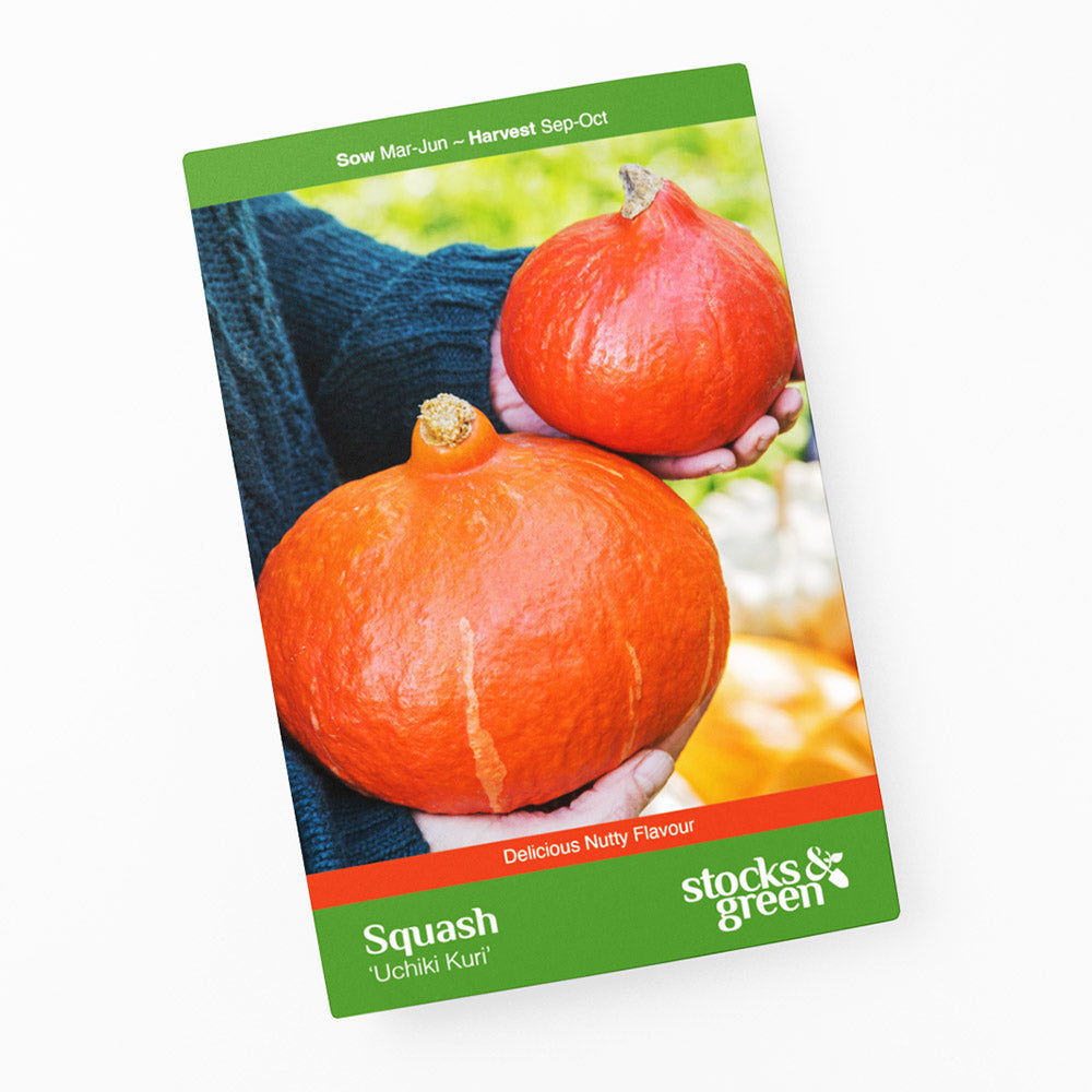 Squash 'Uchiki Kuri' Seeds – Stocks & Green