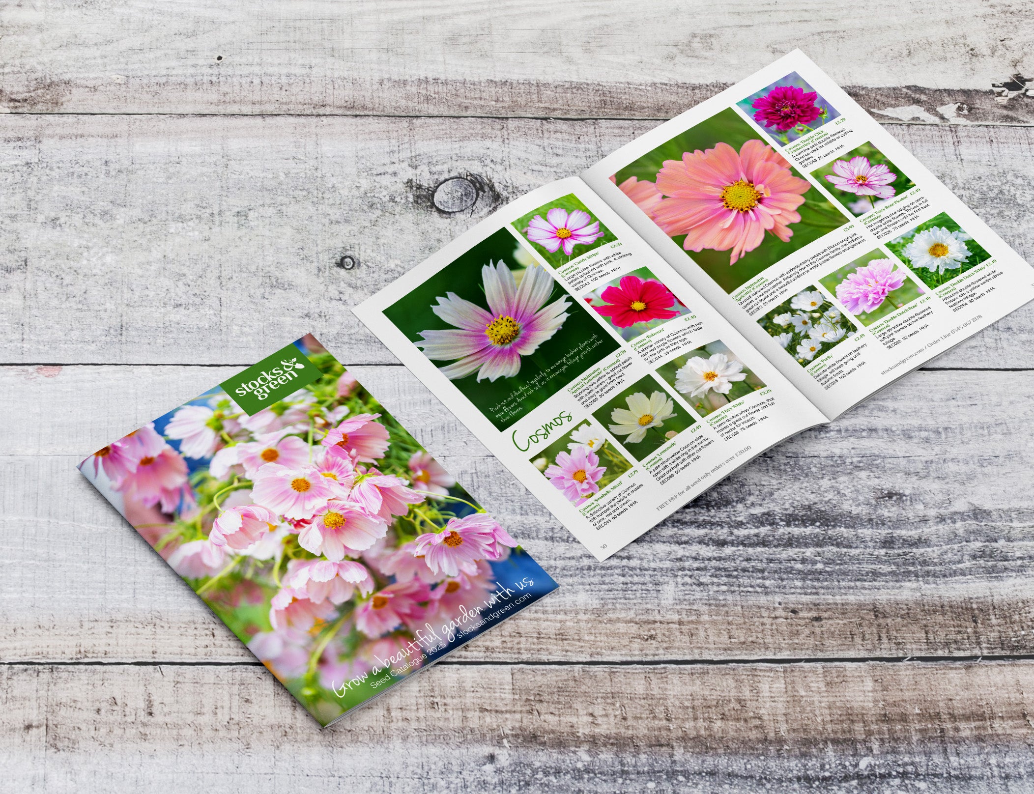 Stocks & Green - Grow A Beautiful Garden From Seed