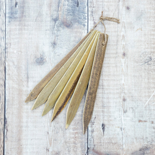 Bamboo Plant Labels – Stocks & Green