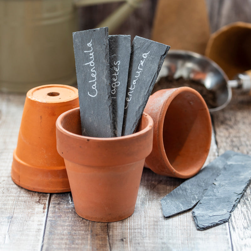 Labels – Stocks & Green