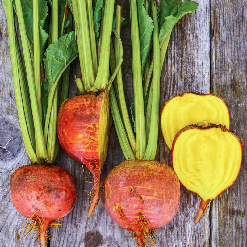 Beetroot 'Burpees Golden' Seeds – Stocks & Green