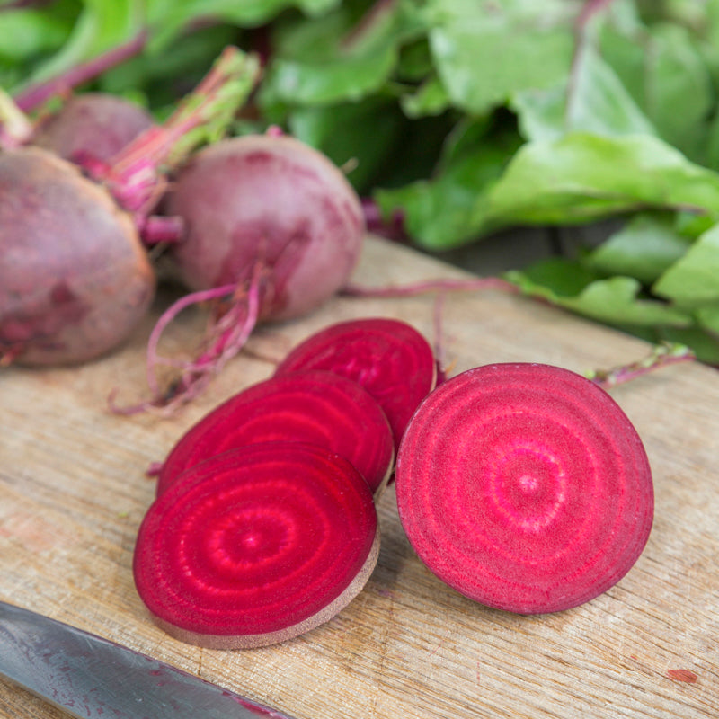 Beetroot 'Detroit' Seeds – Stocks & Green