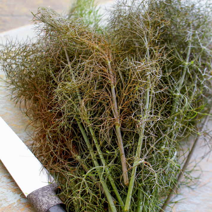 Bronze Fennel Seeds – Stocks & Green