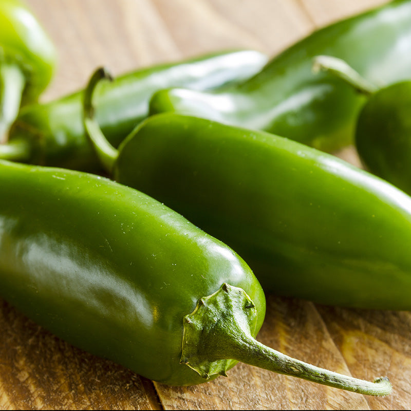 Chilli Jalapeno - Seeds – Stocks & Green