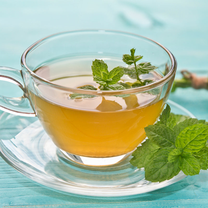 Mint - Common Garden Mint Seeds – Stocks & Green