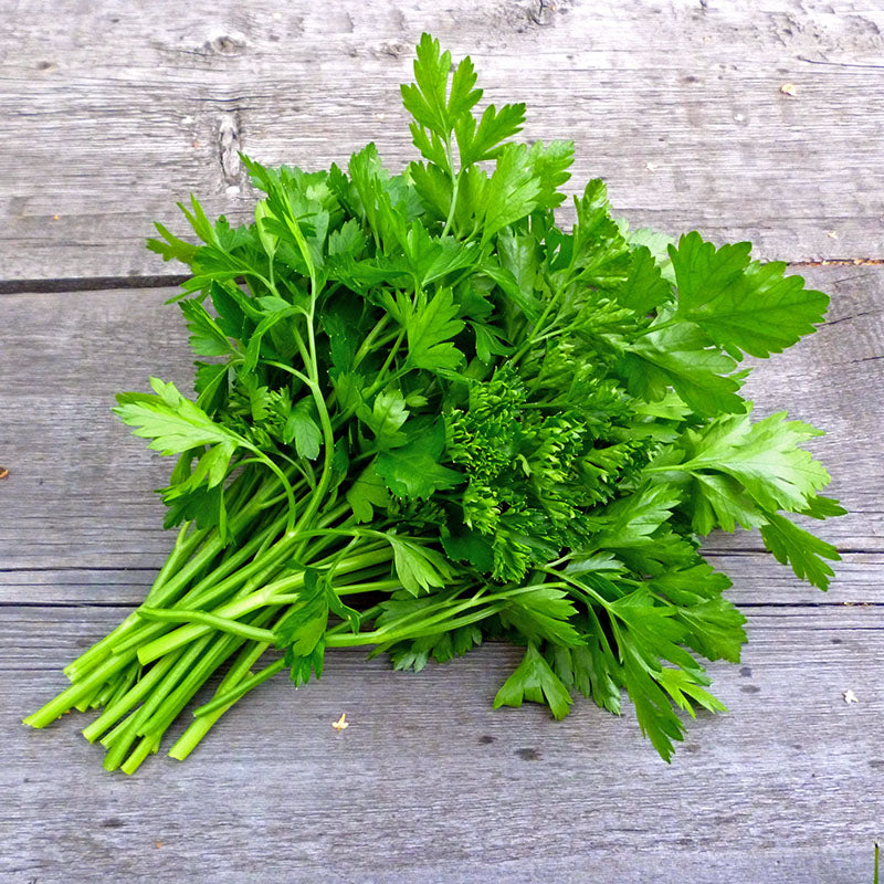 French Parsley